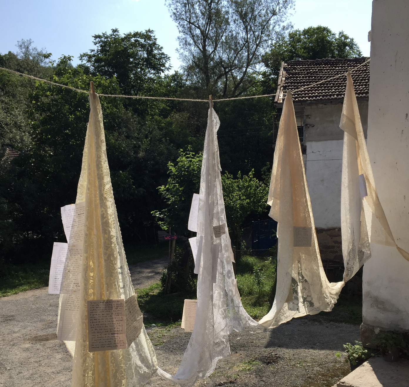 Fieldwork & Ethnography Panel | Center for Folklore Studies